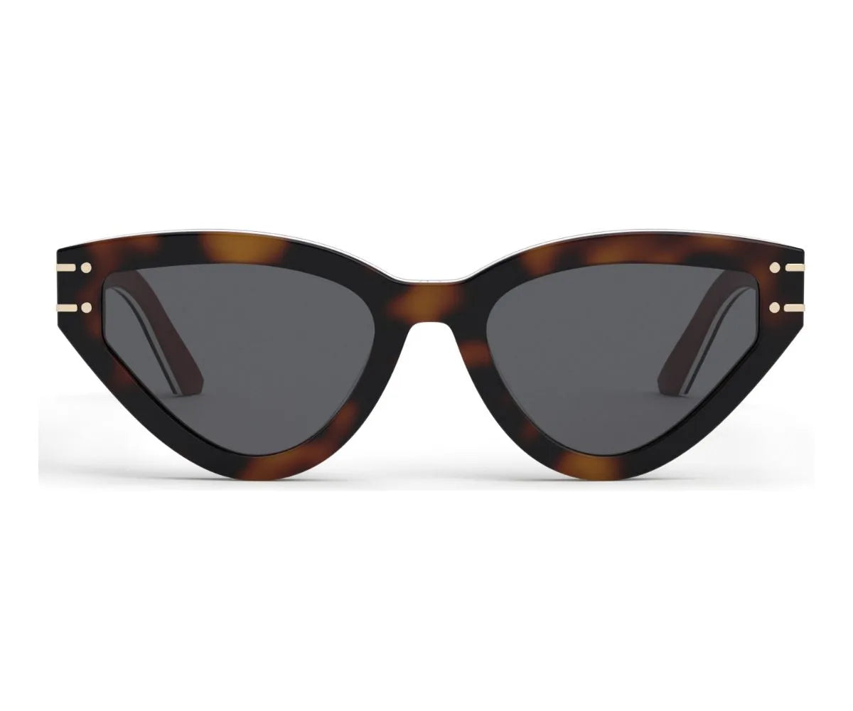 Buy Christian Dior Sunglasses DIORSIGNATURE B2U 40066U 26A0 53 | GEM ...